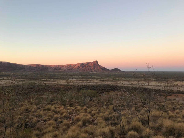 Maddy Power - Intern - Ikuntji Artists Aboriginal Corporation