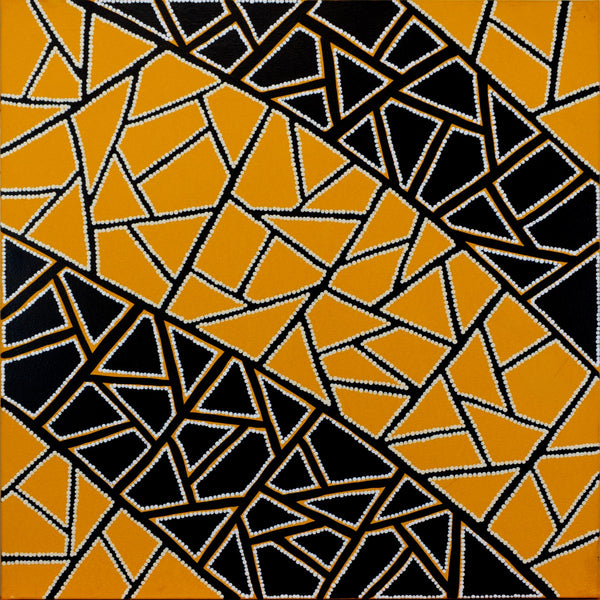 Erin Butcher - Ikuntji Artists Aboriginal Corporation